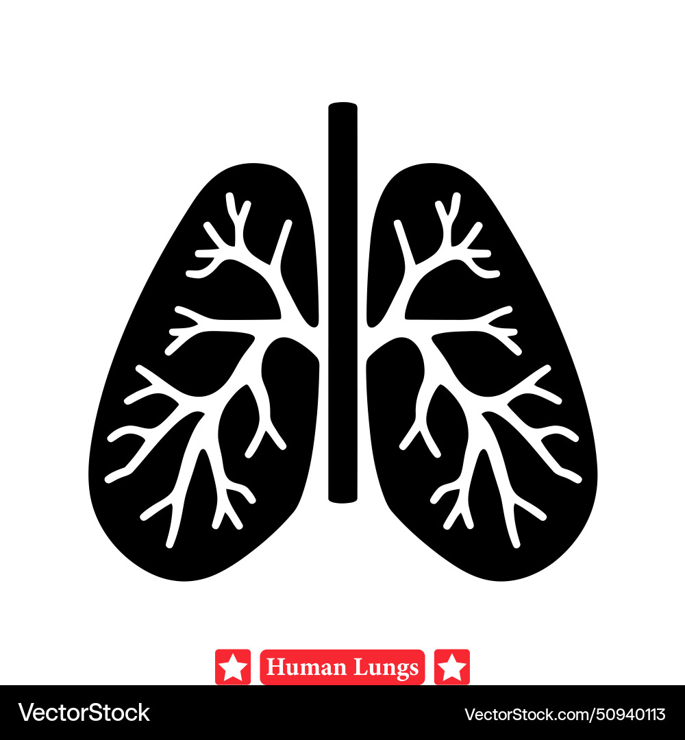 Professional human lungs diagrams set tailored Vector Image