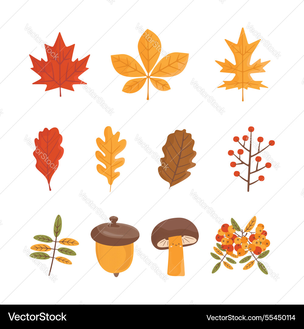 Autumn hand drawn clipart collection fall season Vector Image