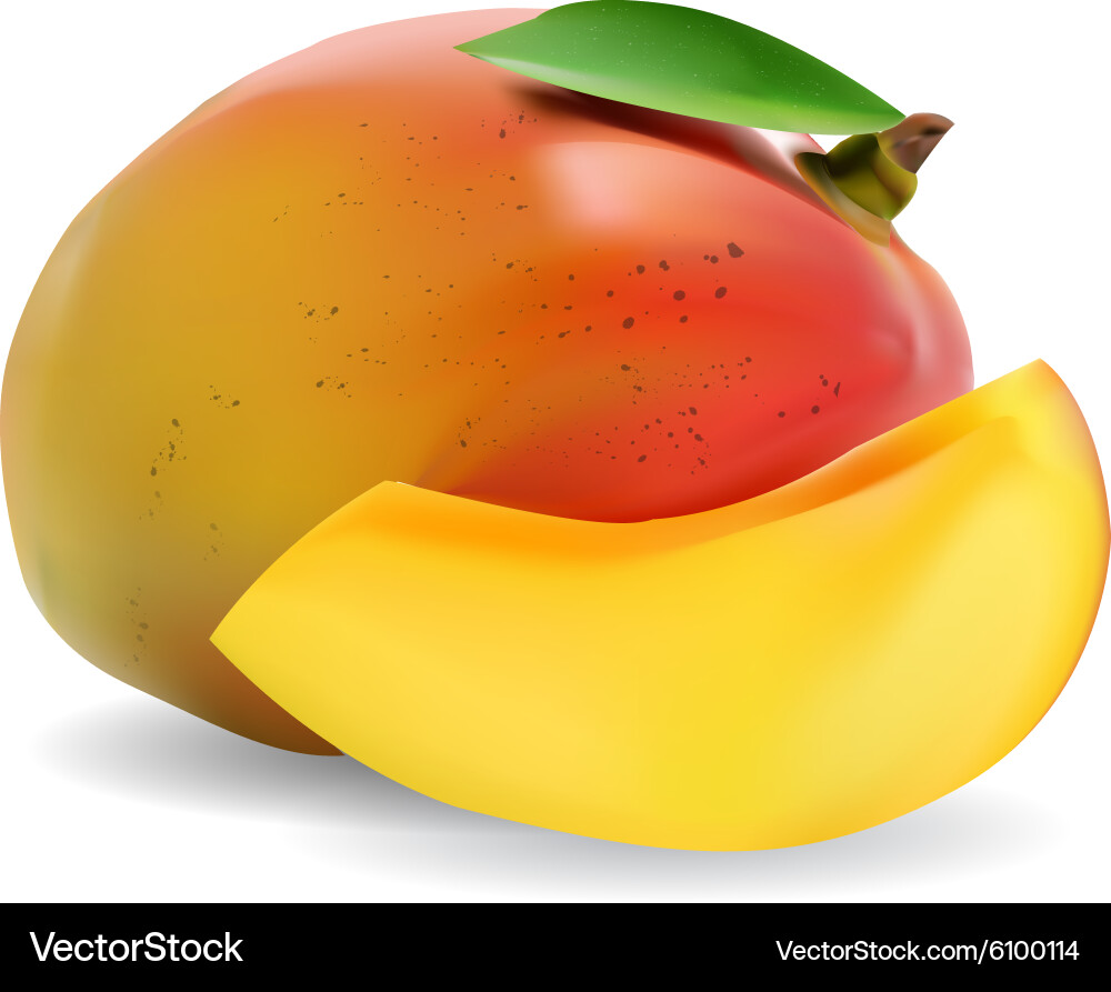 Mango realistic Royalty Free Vector Image - VectorStock