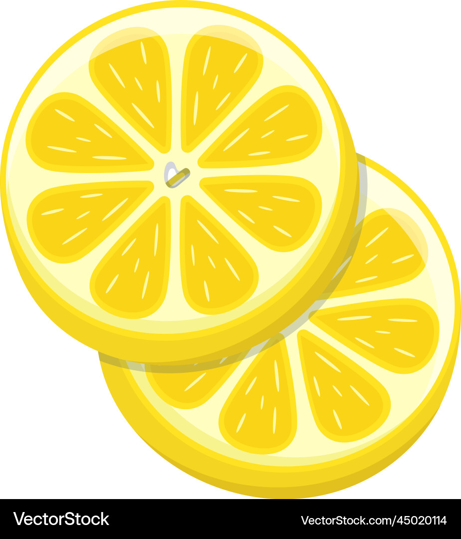 Modern flat of lemon Royalty Free Vector Image