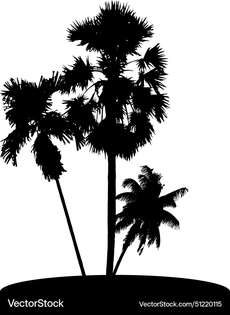 Black palm tree set on white background Royalty Free Vector