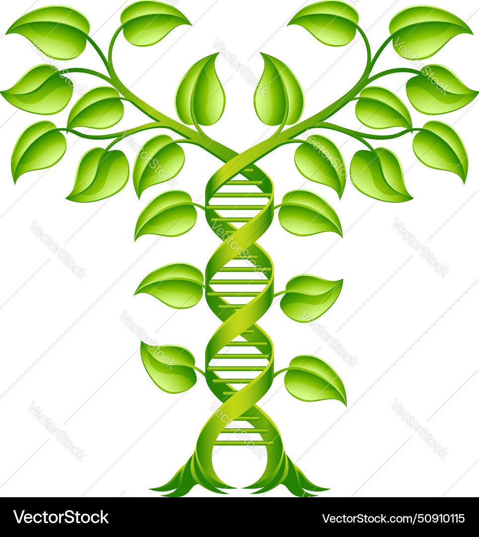 Dna plant double helix concept Royalty Free Vector Image