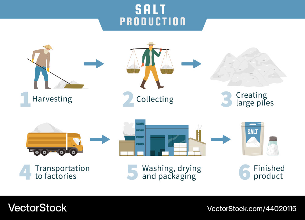 Salt production infographics Royalty Free Vector Image
