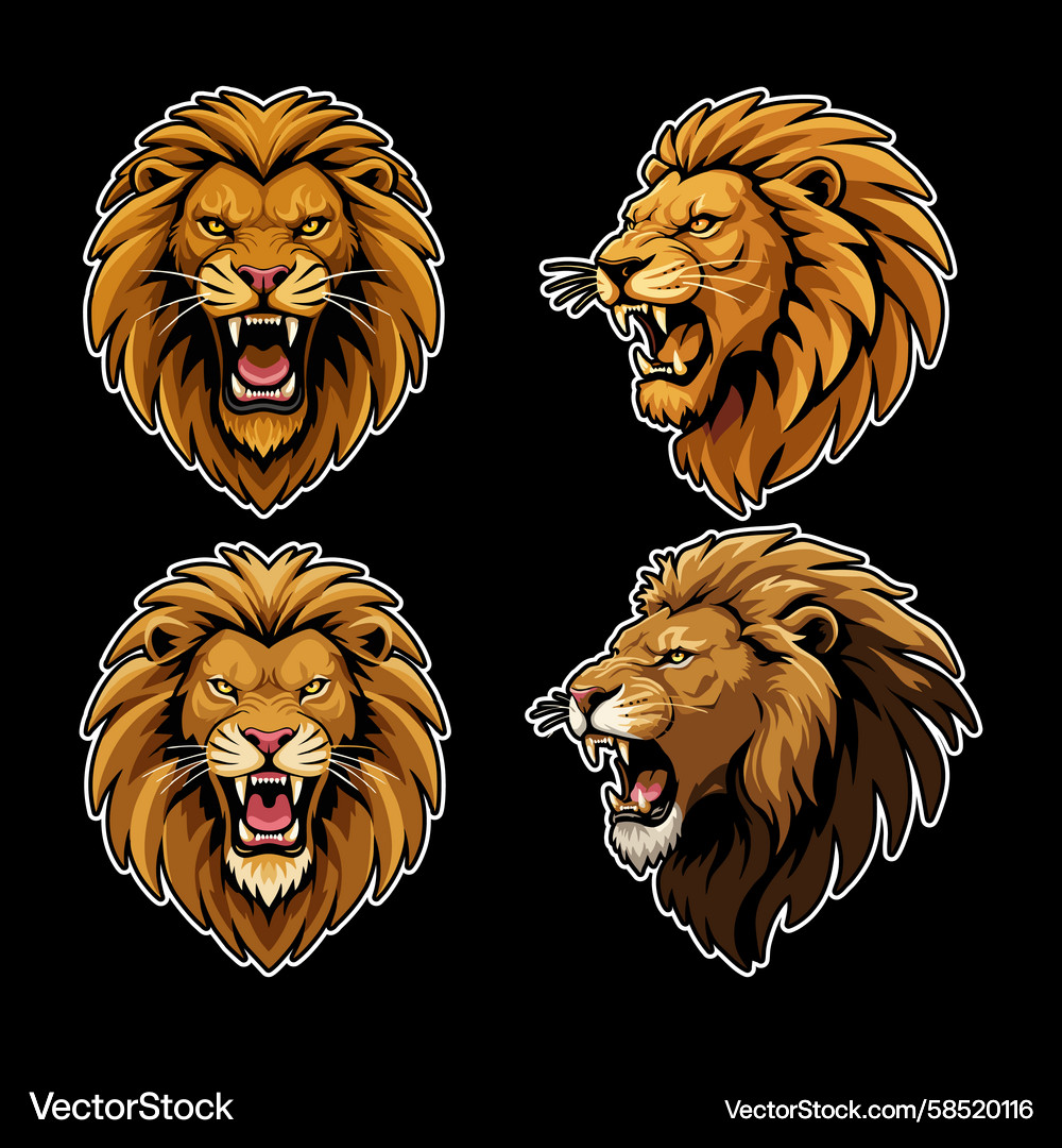 Aggressive Lion Head Set Royalty Free Vector Image