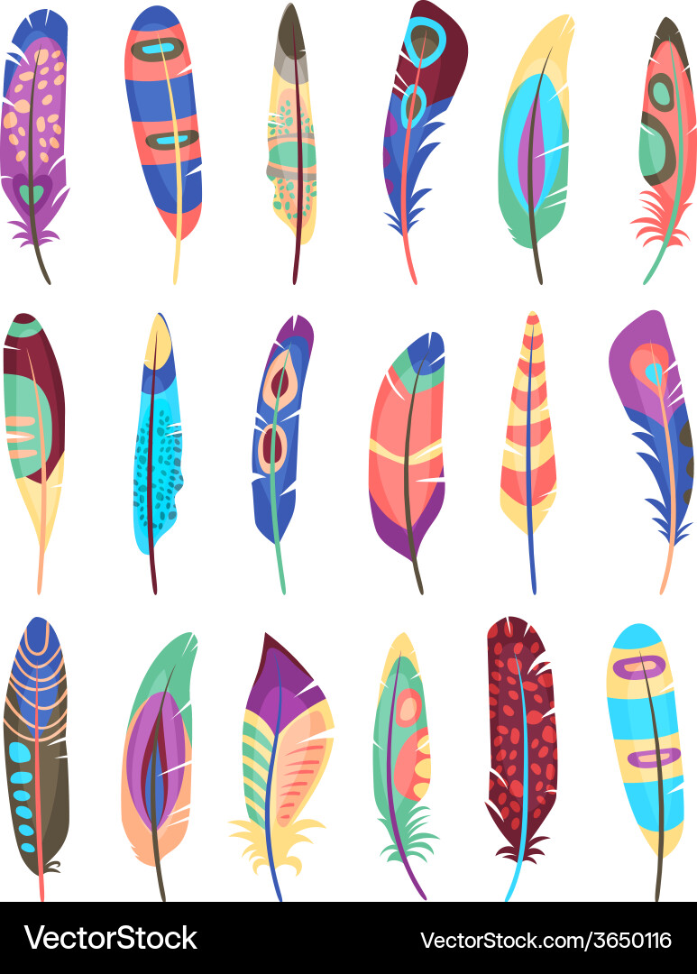 Colored feathers set Royalty Free Vector Image