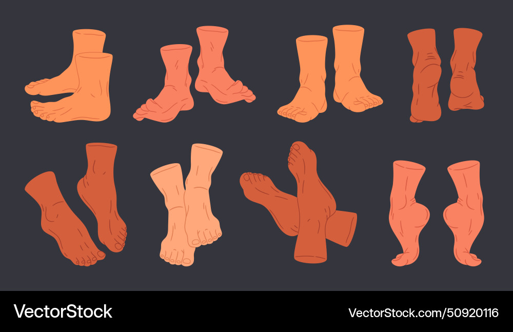 Human barefoot legs bare pairs Royalty Free Vector Image