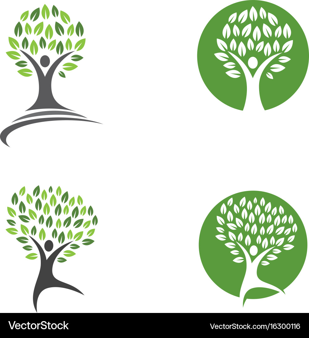 Stammbaum Symbol Logo Design Vorlage Lizenzfreier Vektor