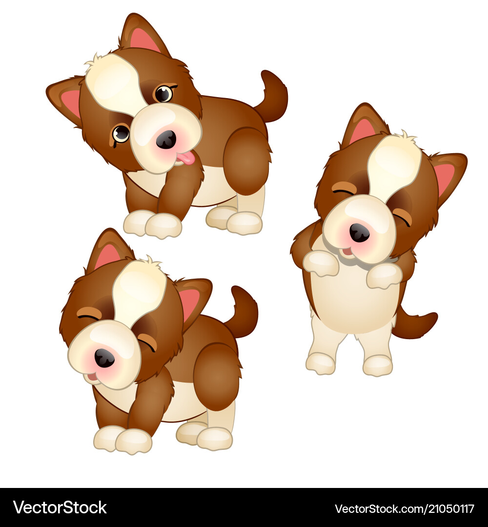 Cute puppy isolated on white background pets Vector Image