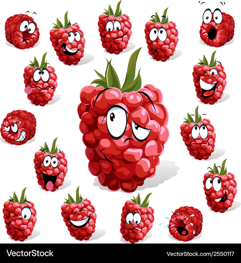 Raspberry Royalty Free Vector Image - VectorStock