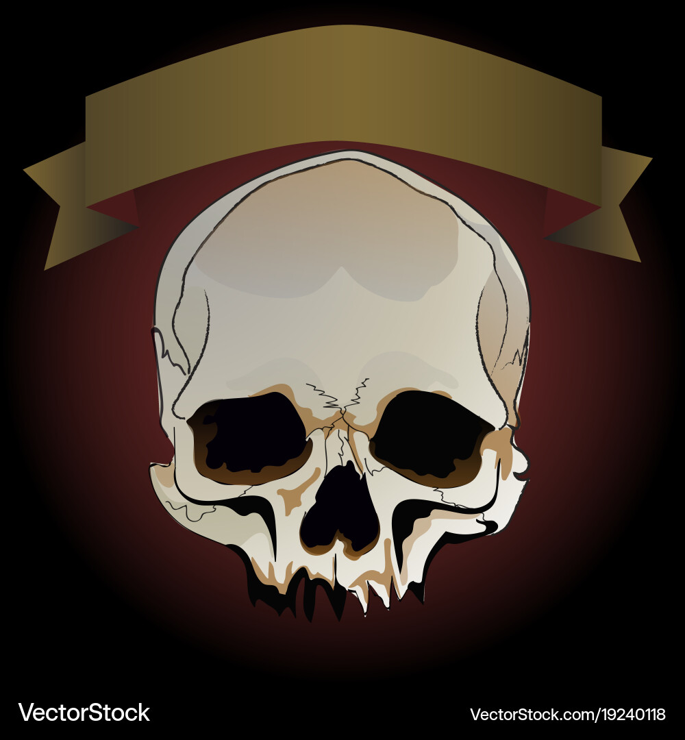Greeting card with skull and ribbon for text Vector Image