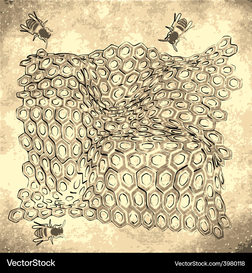 Honeycomb Royalty Free Vector Image - VectorStock