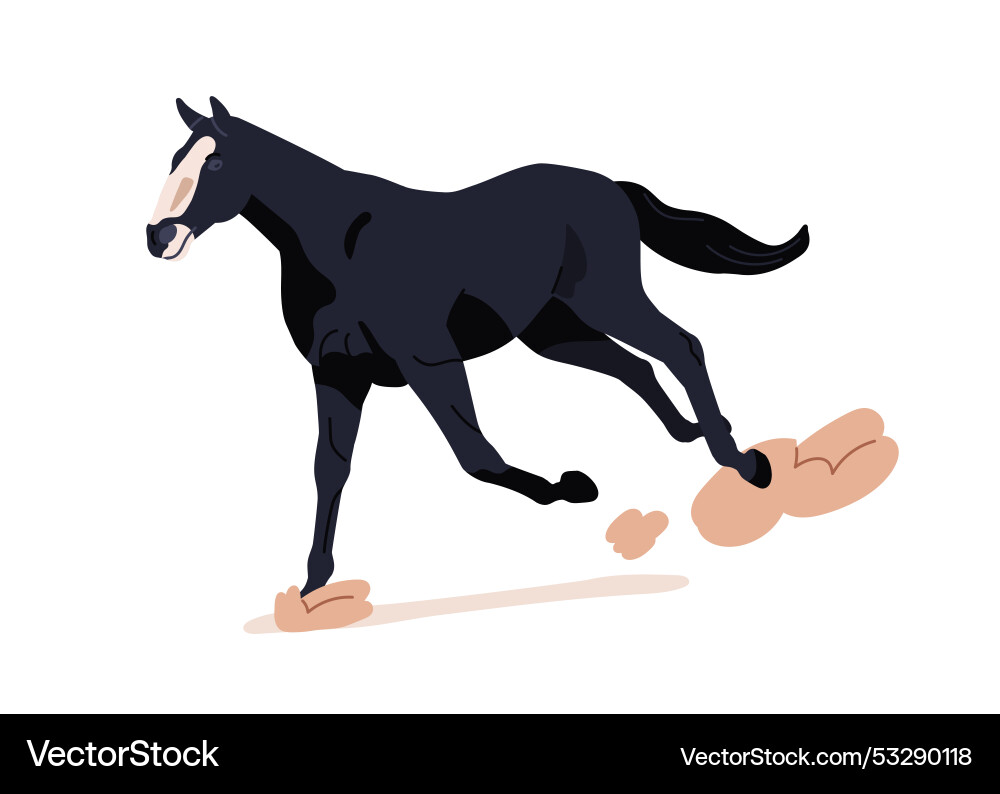 Horse running fast galloping stallion in action Vector Image