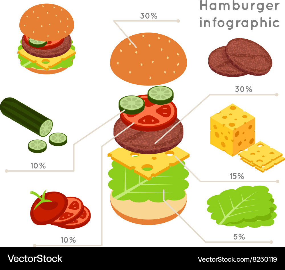 Hamburger ingredients flat isometric style Vector Image