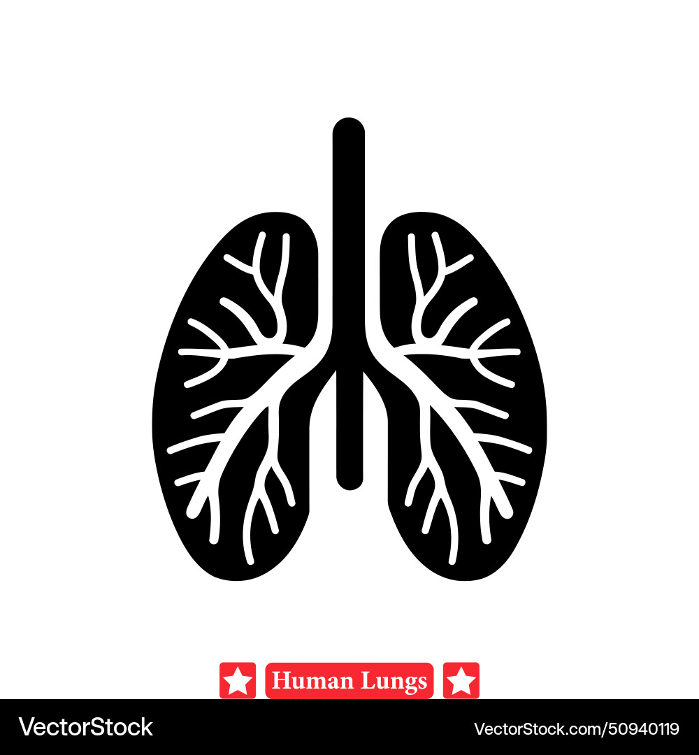 Human lung anatomy silhouettes set ideal Vector Image