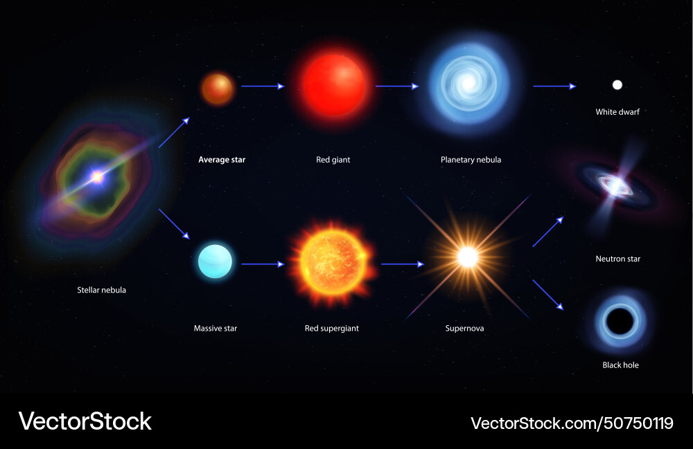 Life cycle star infographics Royalty Free Vector Image