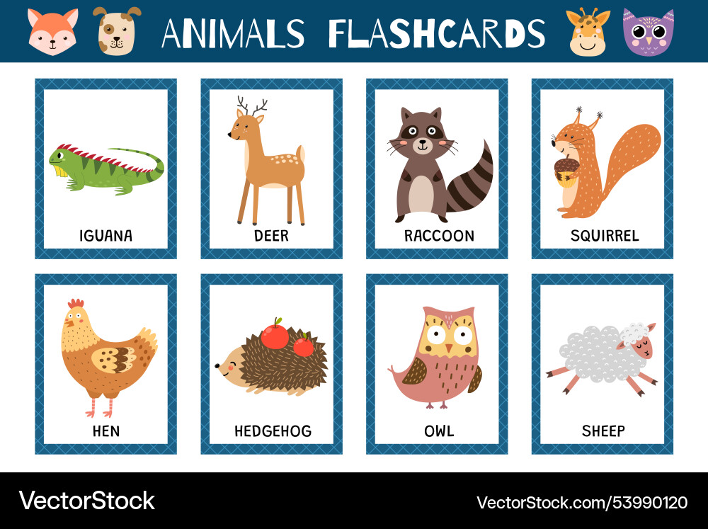 Animals flashcards collection for kids Royalty Free Vector
