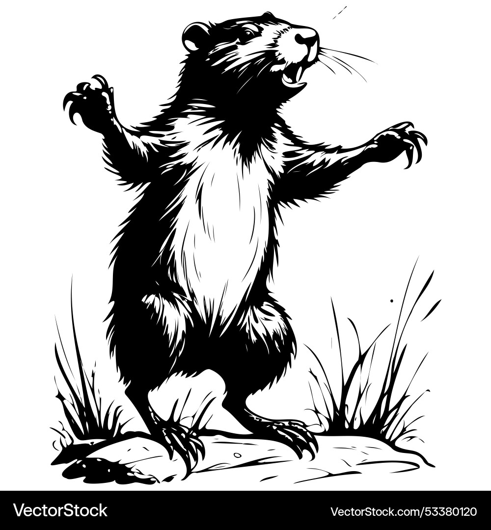 Beaver jump hand drawn animal transparent Vector Image