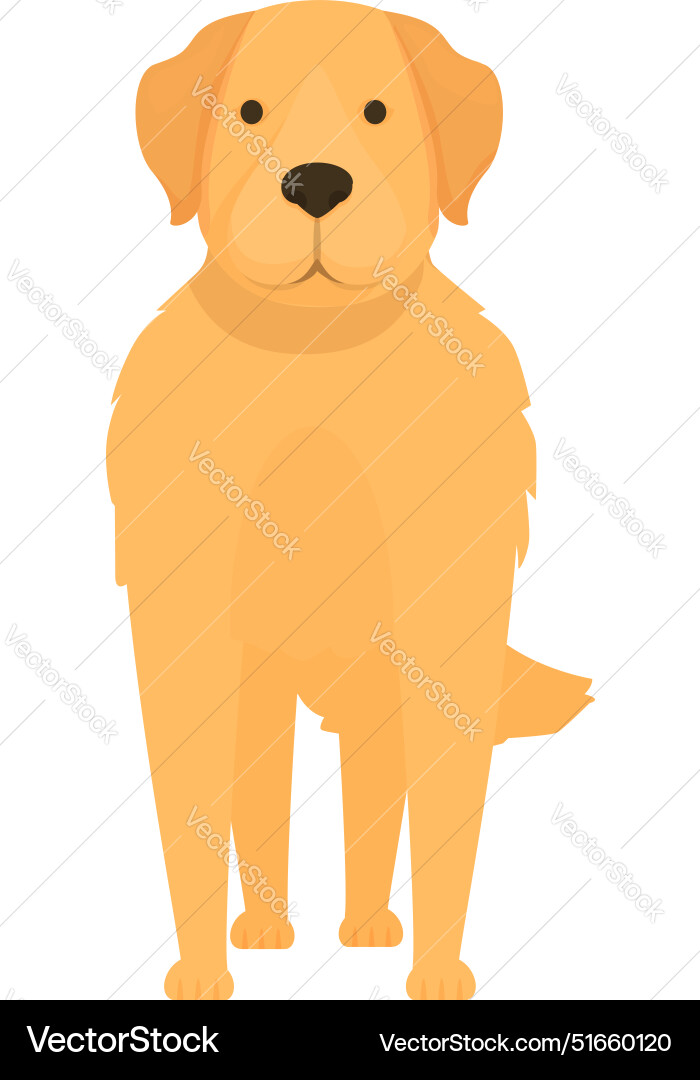 Golden retriever standing on four legs Royalty Free Vector