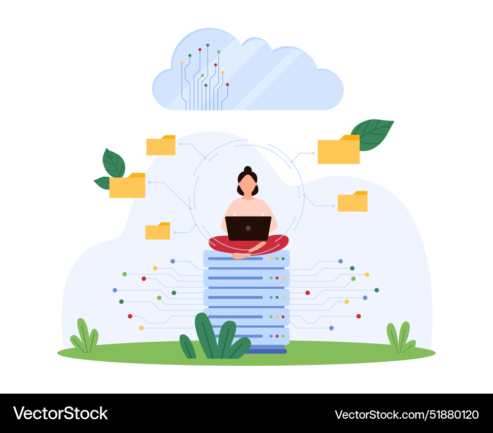 Secure cloud data platform system infrastructure Vector Image