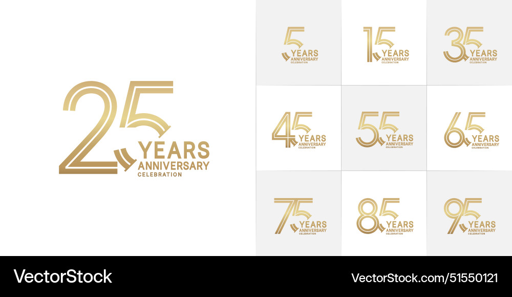 Set of anniversary premium collection golden Vector Image