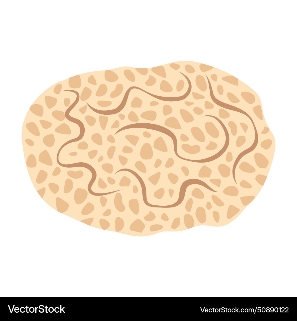 Sea sponge hand drawn underwater Royalty Free Vector Image