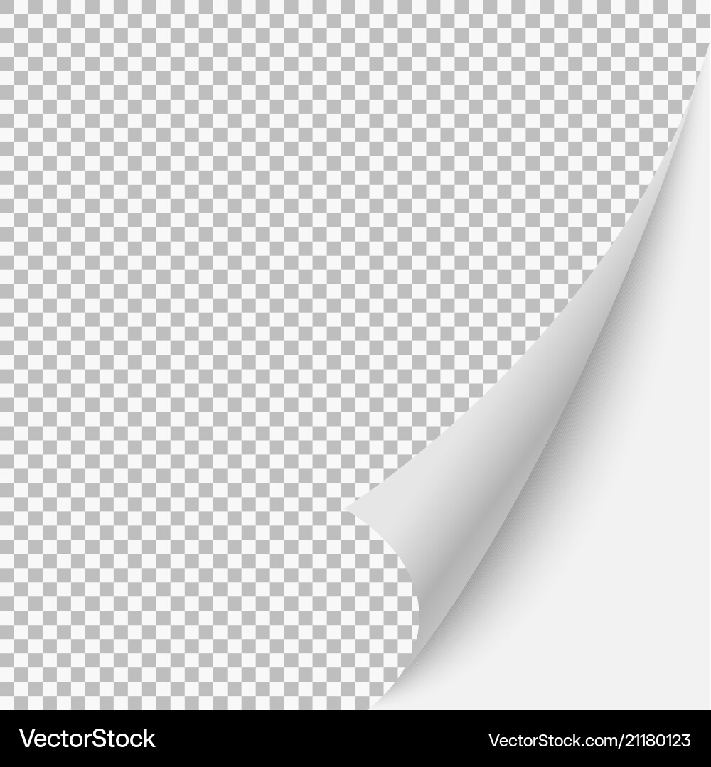 Blank page Royalty Free Vector Image - VectorStock