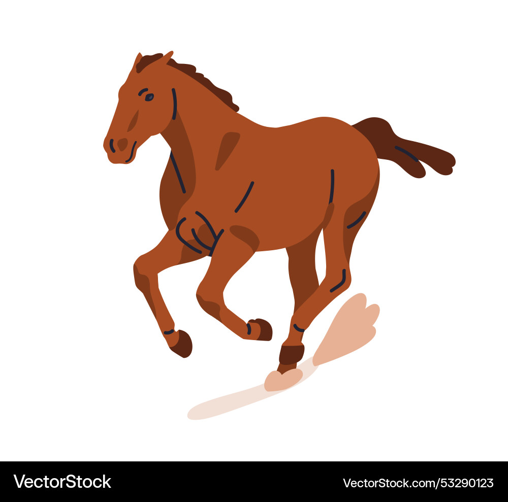 Galloping horse thoroughbred stallion running Vector Image