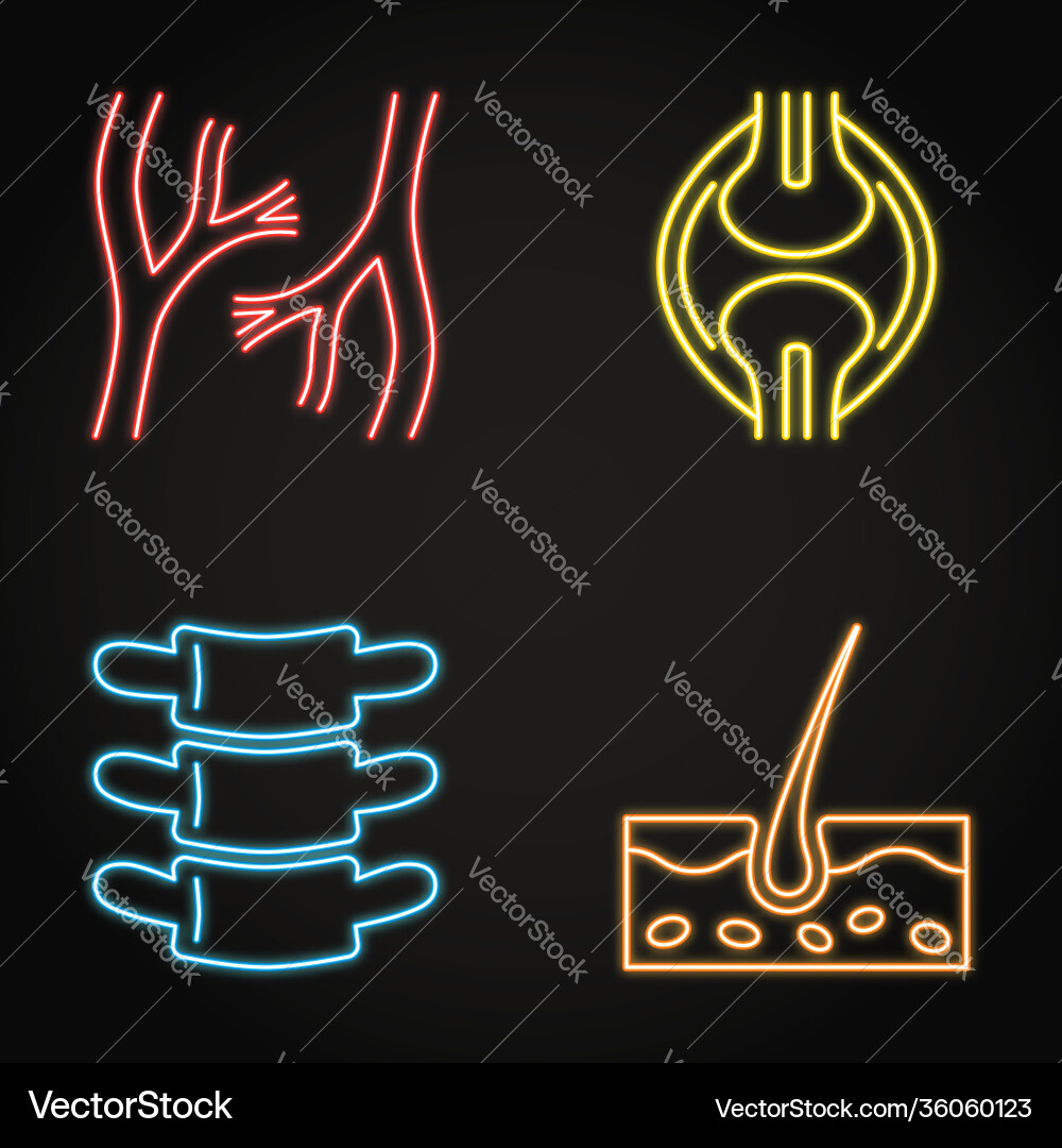 Menschliche Organe Neon-Ikone im Linienstil gesetzt