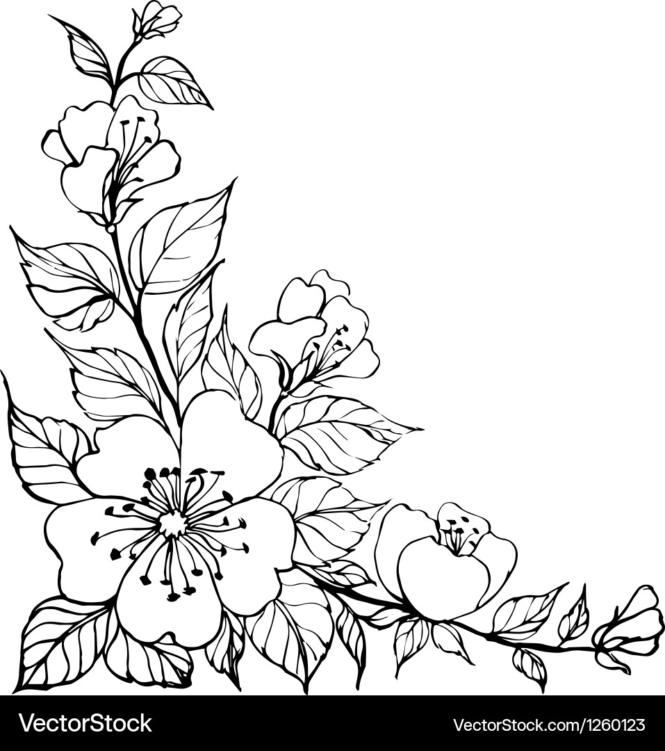 Sacura Royalty Free Vector Image - VectorStock