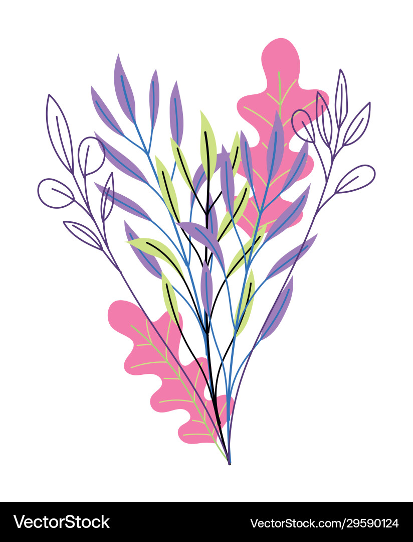 Branches leaves vegetation herbs wild botany Vector Image