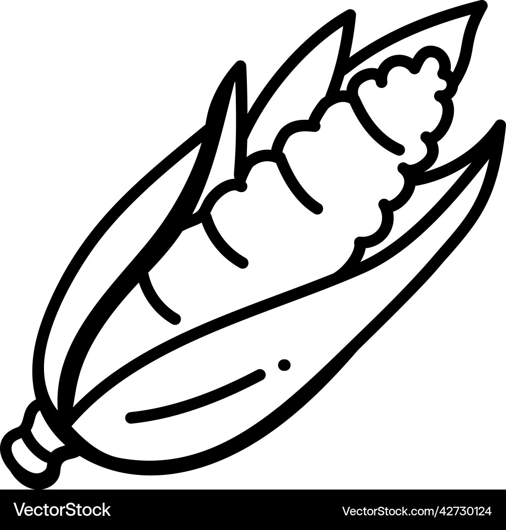 Corn Royalty Free Vector Image - VectorStock