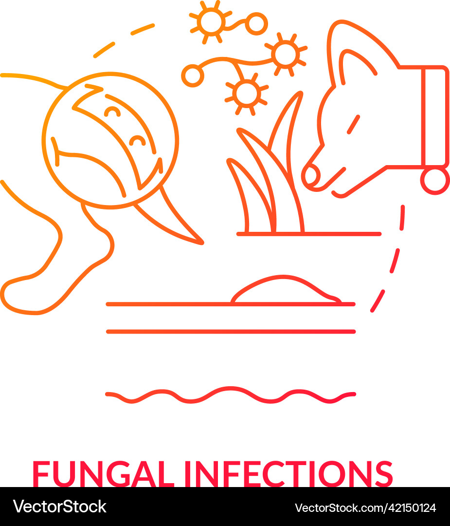 Fungal infections red gradient concept icon Vector Image