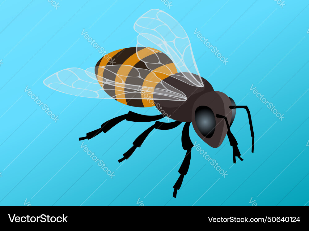 Isometric honey bee flying people breed Royalty Free Vector