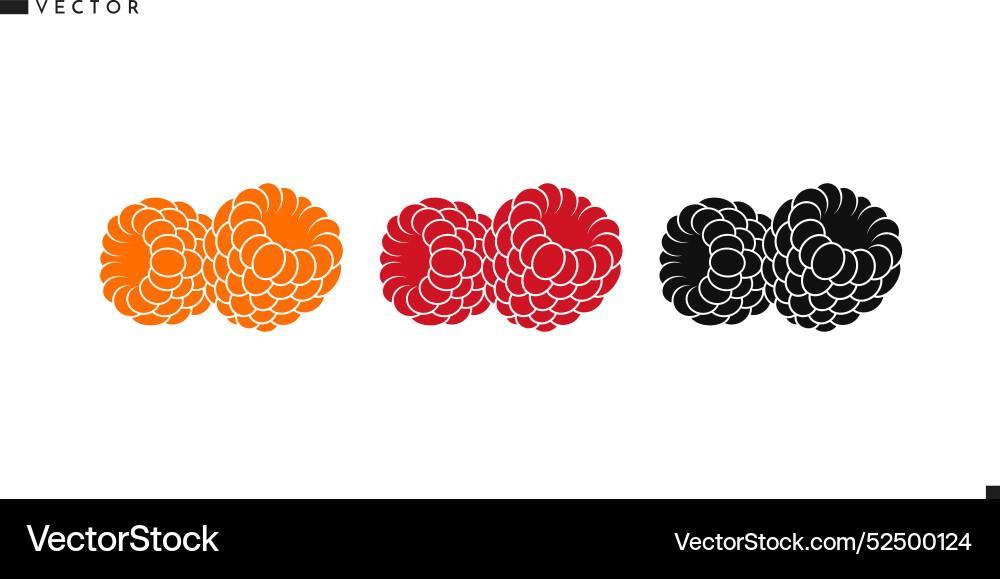 Raspberry icon set Royalty Free Vector Image - VectorStock