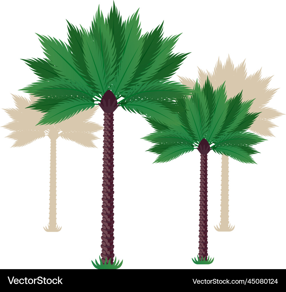 Uae exotic trees composition Royalty Free Vector Image