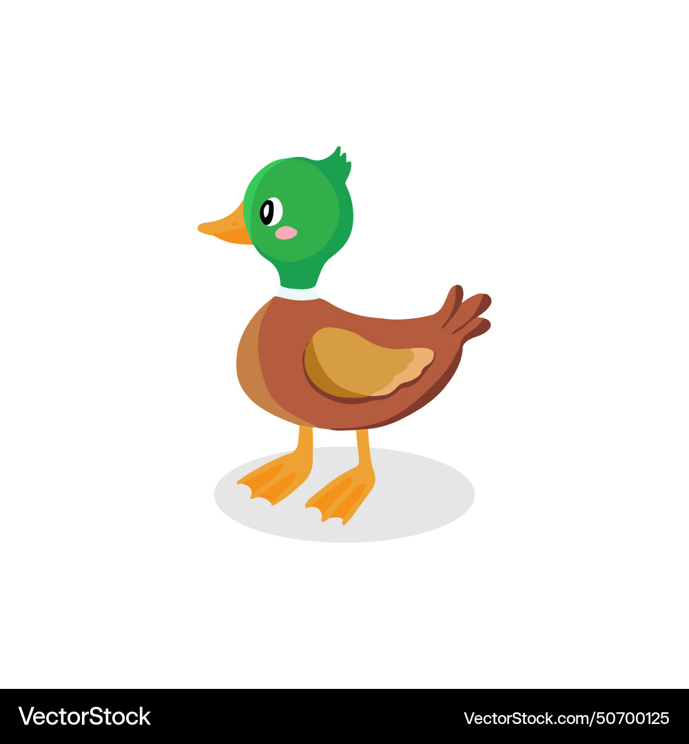 A colorful duck standing alone on white Royalty Free Vector