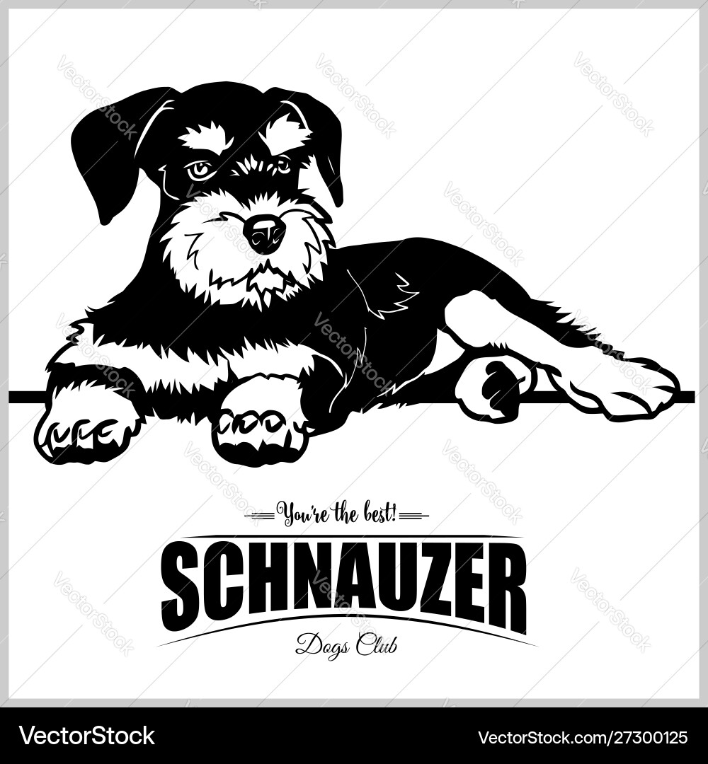 Black Miniature Schnauzer Logo Royalty Free Vector Image