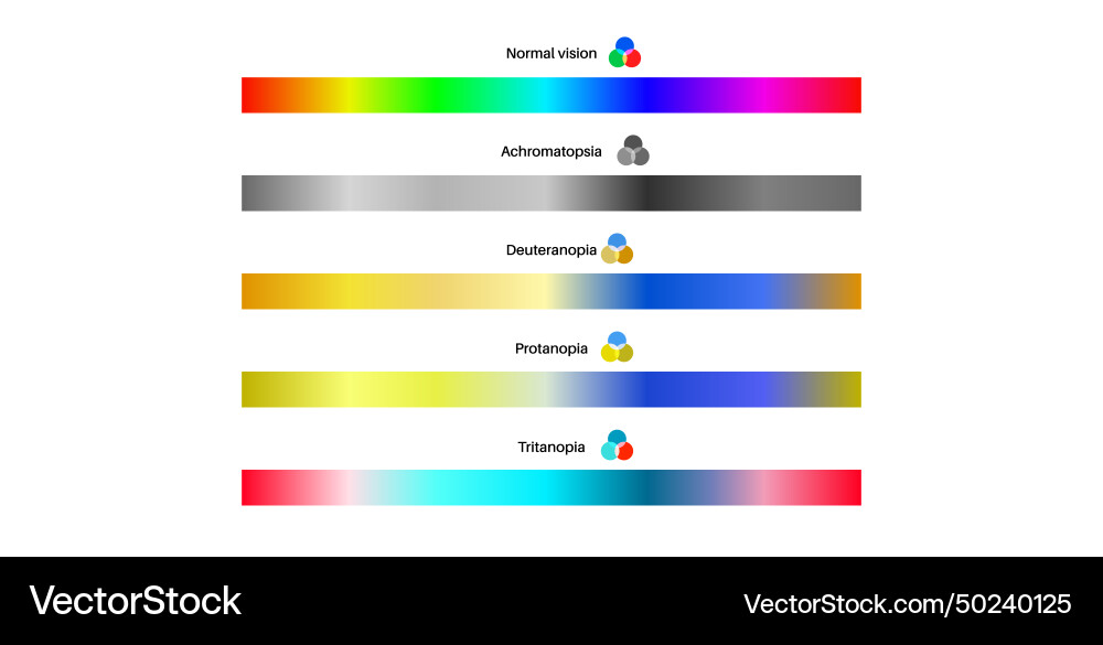 Color blindness poster Royalty Free Vector Image