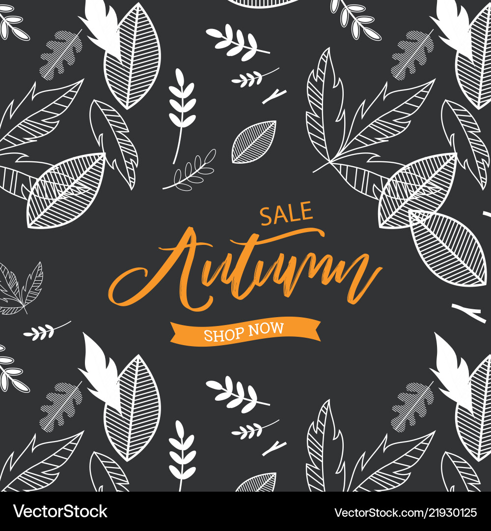 Design for poster card invitation placard Vector Image