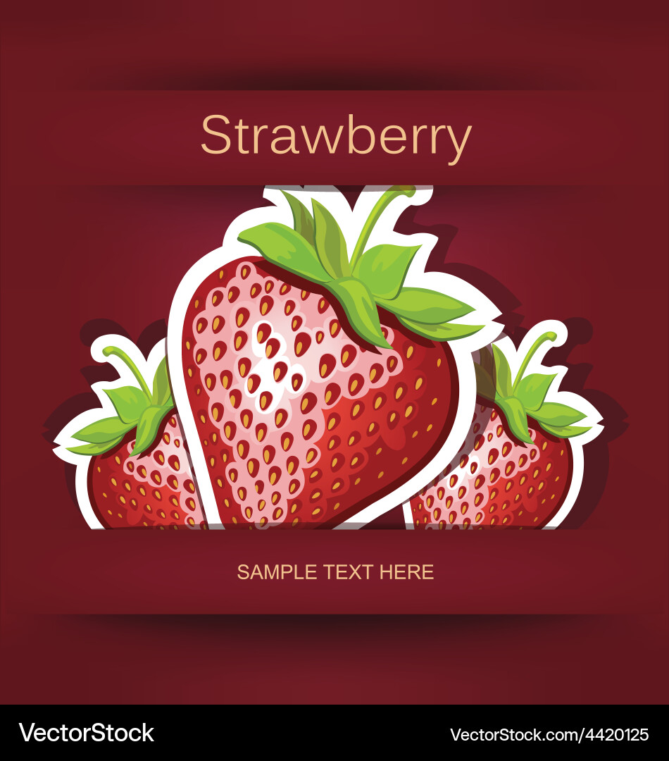 Strawberries Royalty Free Vector Image - VectorStock