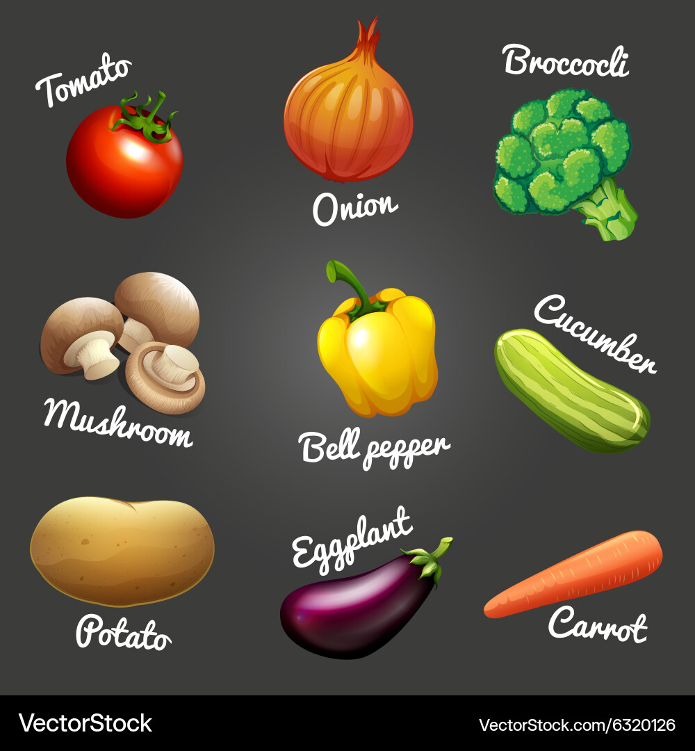 Fresh vegetables with names Royalty Free Vector Image