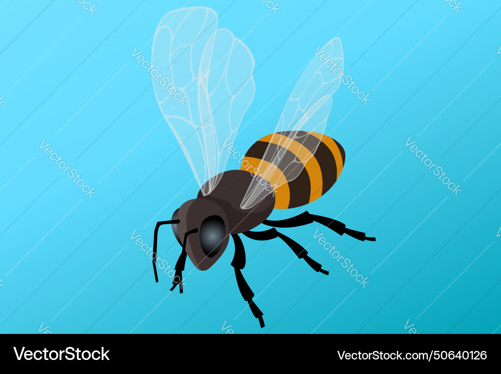 Isometric honey bee flying people breed Royalty Free Vector