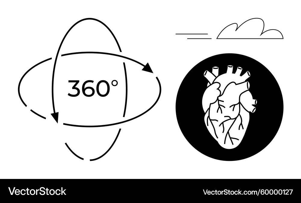 360 Rotation with Anatomical Heart Royalty Free Vector Image