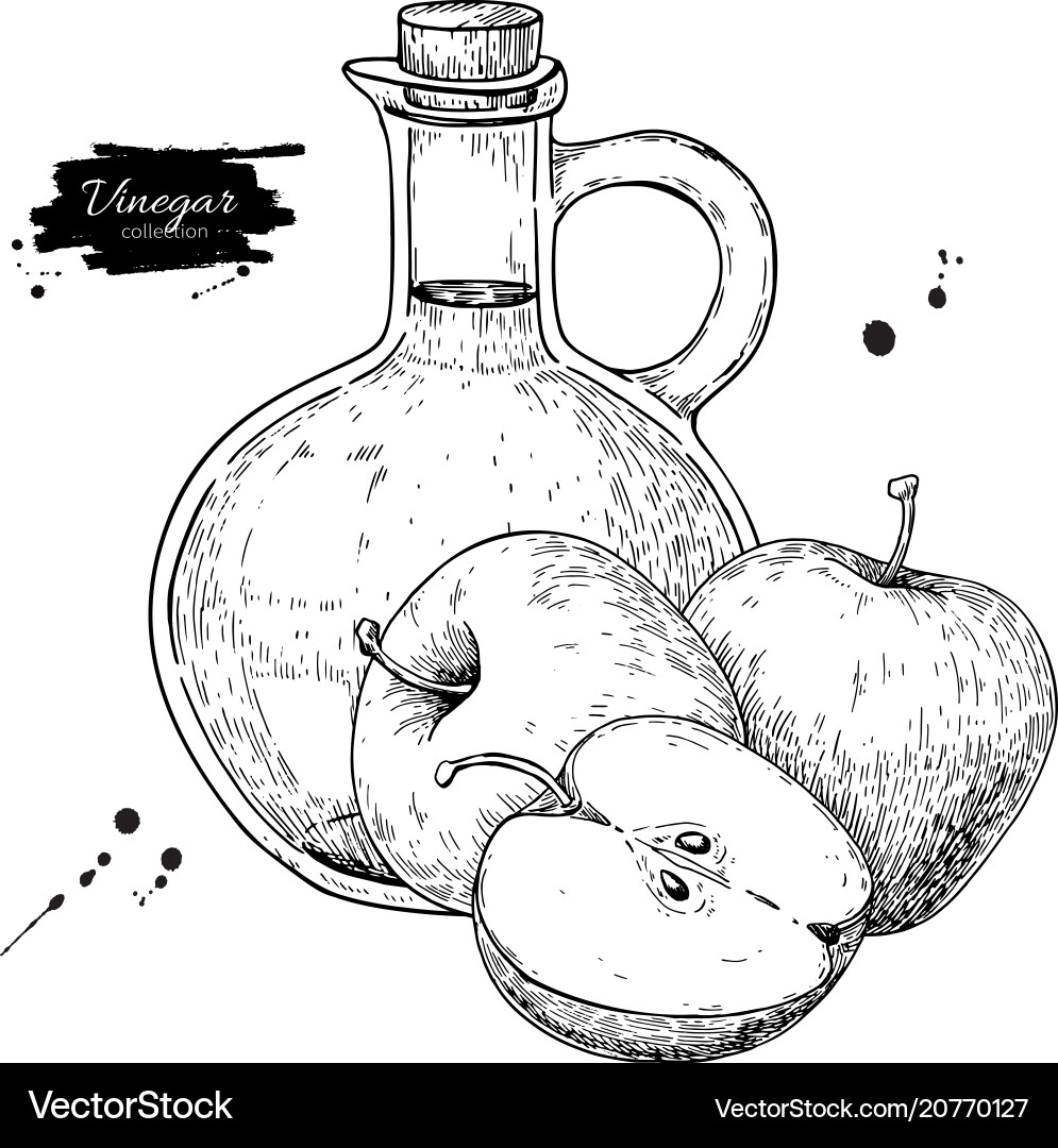 Apple vinegar drawing hand draw Royalty Free Vector Image