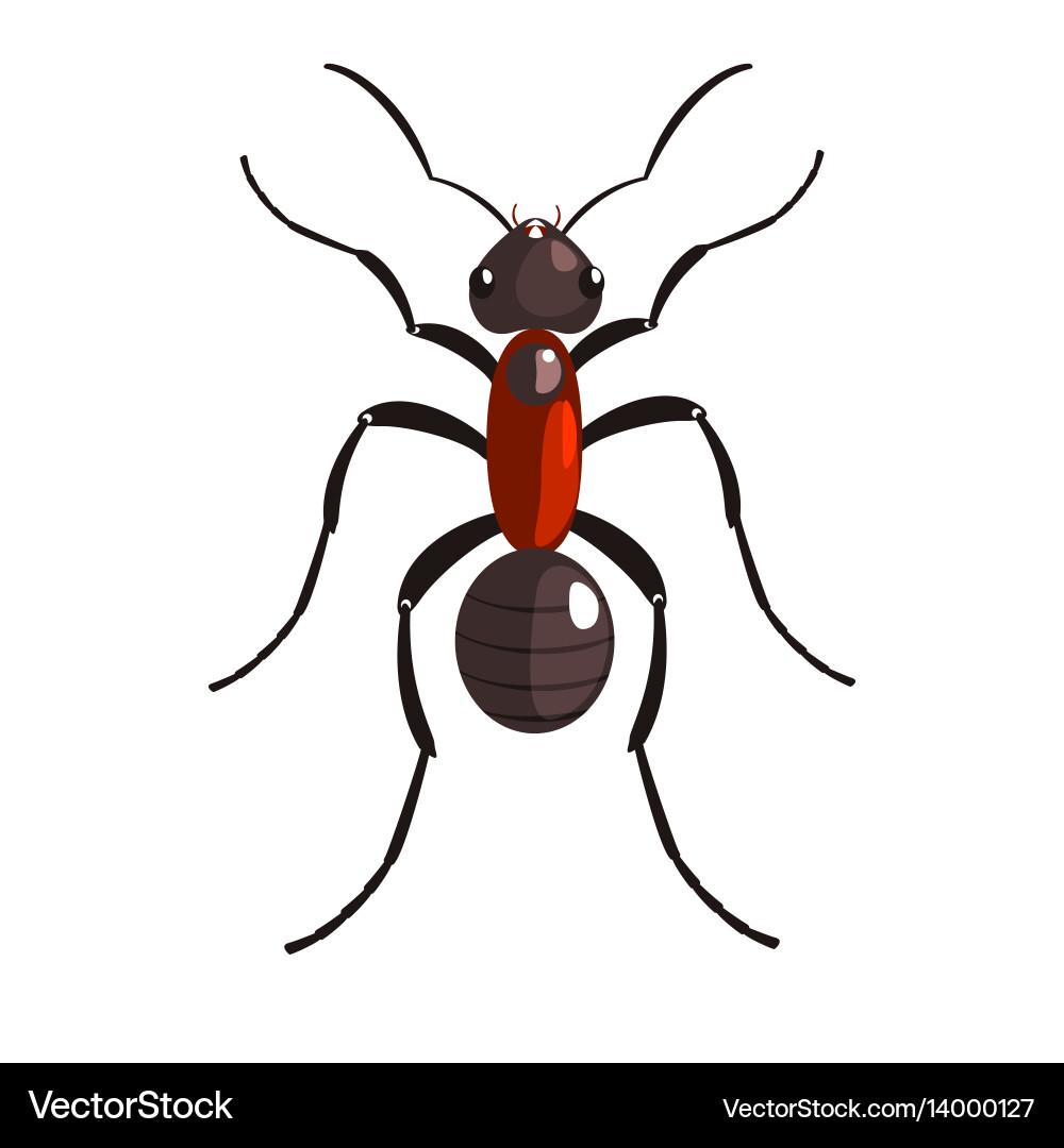 Black ant insect colorful cartoon Royalty Free Vector Image