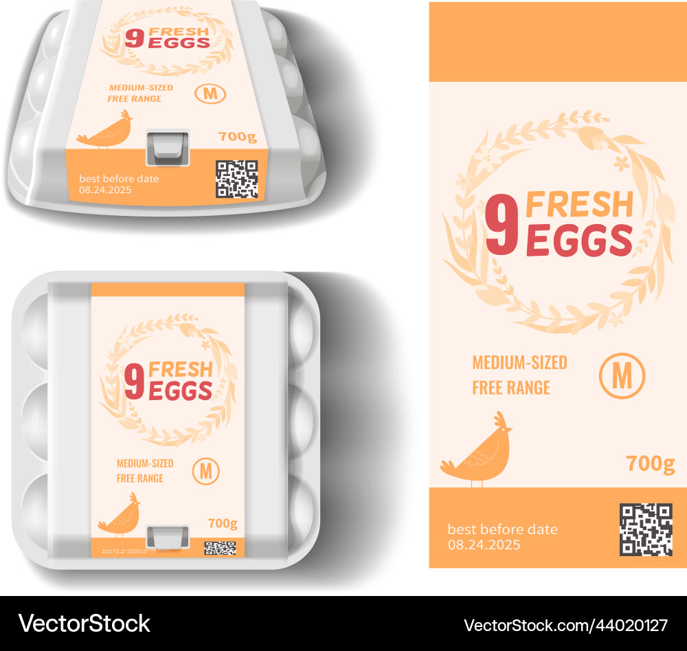 Realistic eggs package mockup Royalty Free Vector Image