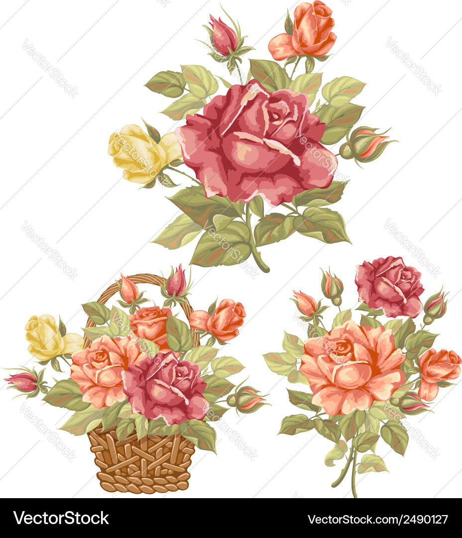 Rose set Royalty Free Vector Image - VectorStock