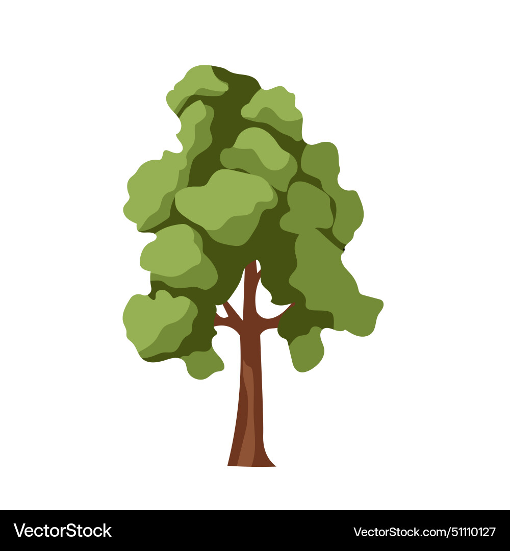 Tropical tree with green leaves nature elements Vector Image