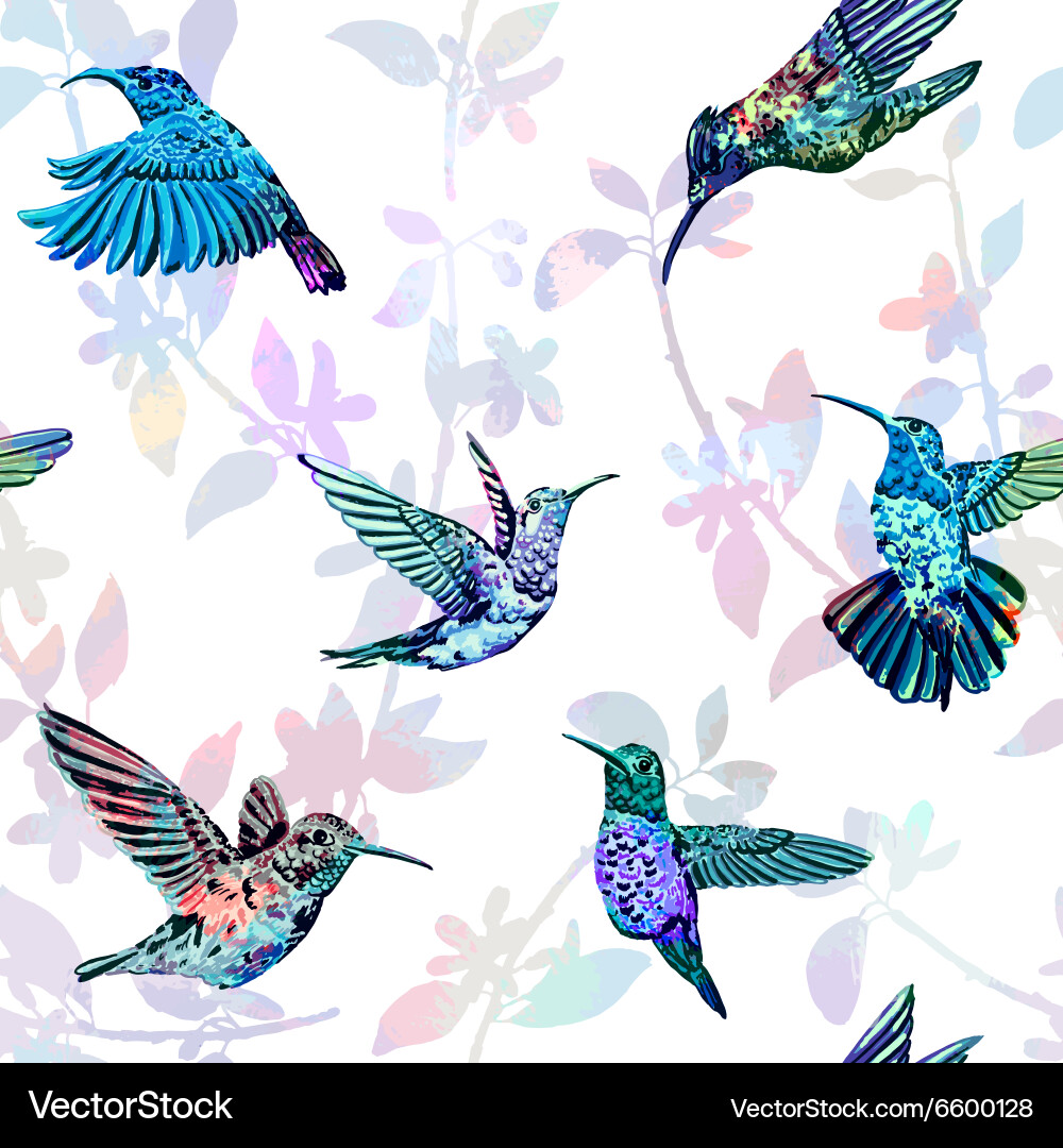 Hummingbird seamless pattern hand drawn tropical Vector Image