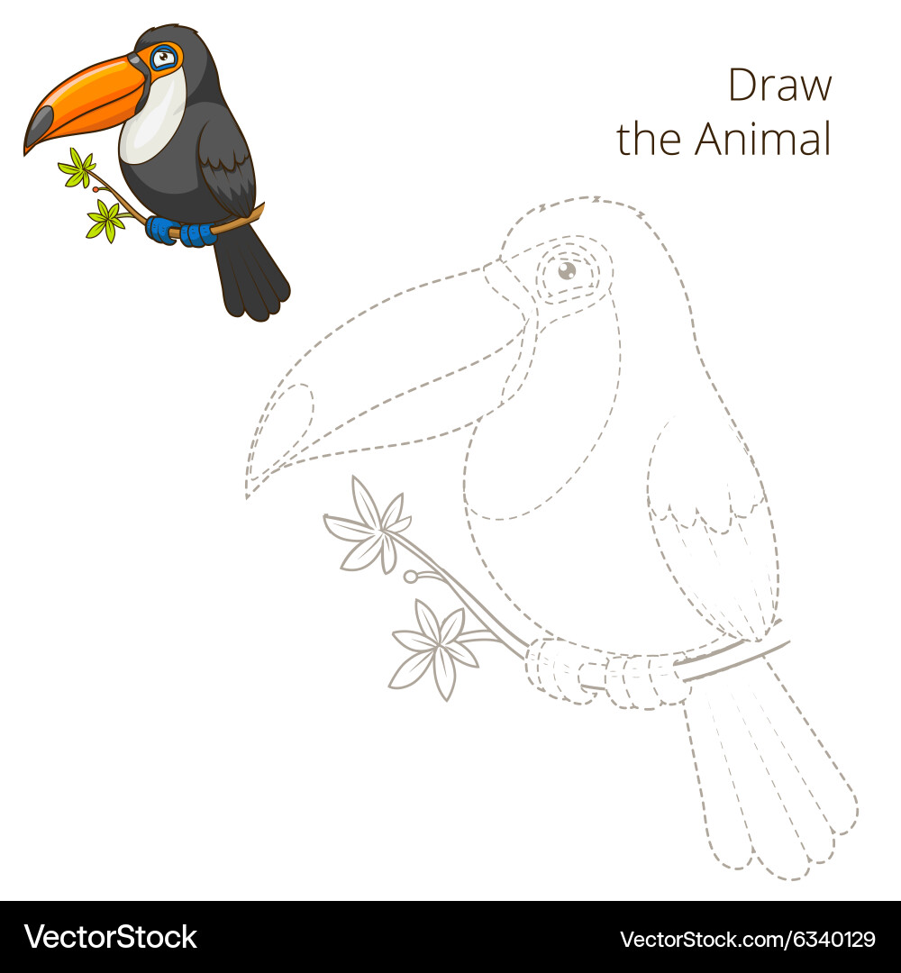 Draw the animal toucan educational game Royalty Free Vector